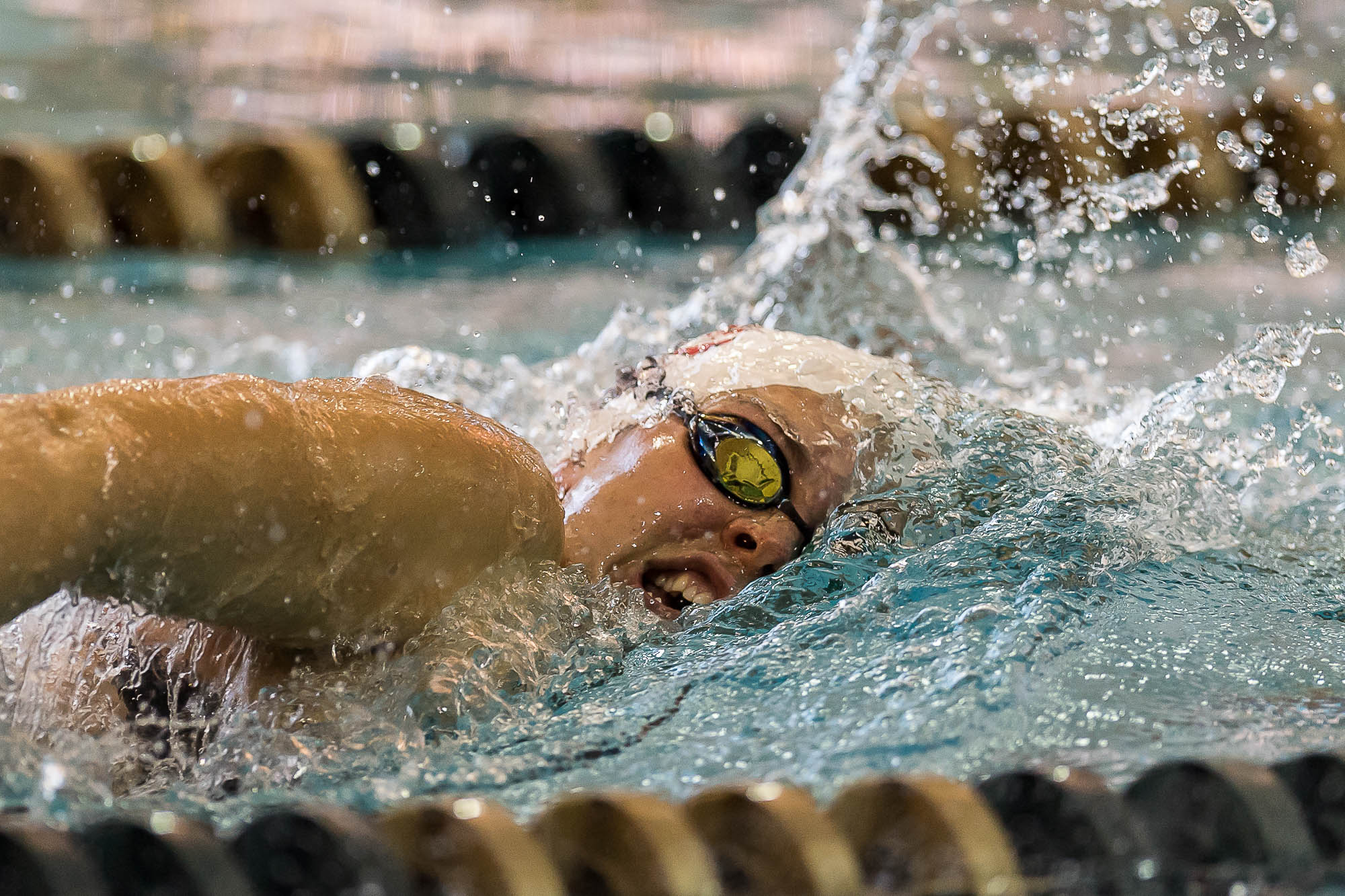 Short Course Nationals Day 4 Recap: National Champions Share Their ...