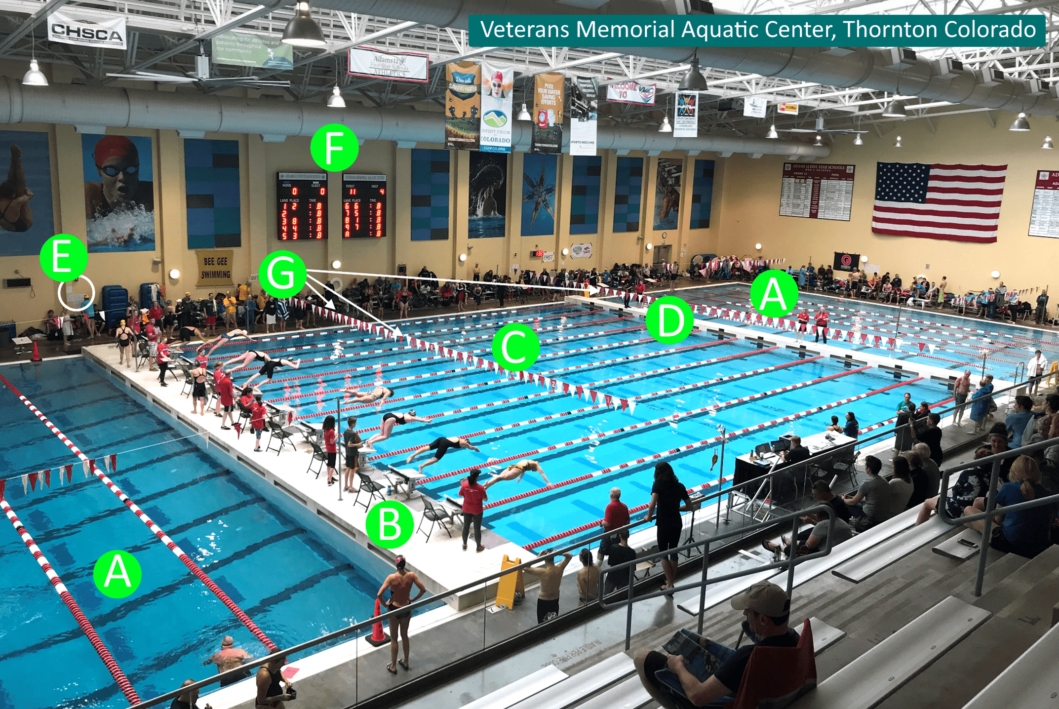 How to Prepare for Your First Swim Meet | U.S. Masters Swimming